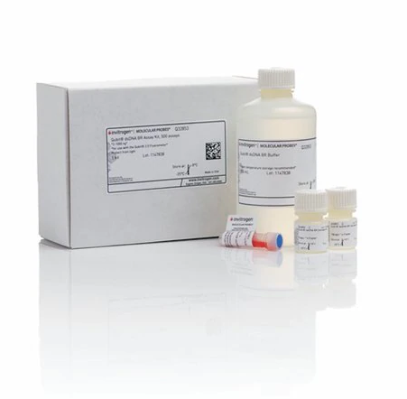 Kit de ensayo Quant-iT Qubit dsDNA BR x 500 Invitrogen Q32853 ...