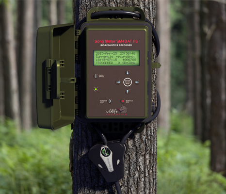 GRABADOR ULTRASÓNICO SONG METER WILDLIFE SM4BAT-FS | Equipamiento ...
